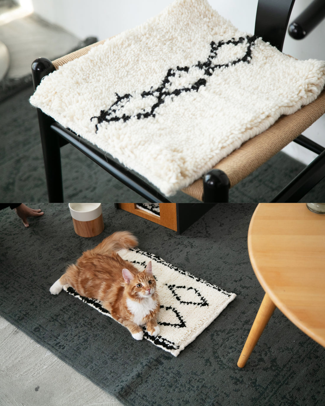 BENI OUARAIN / Black 猫がくつろげるサイズ感のベニワレン【アンドキャット】 – & CAT